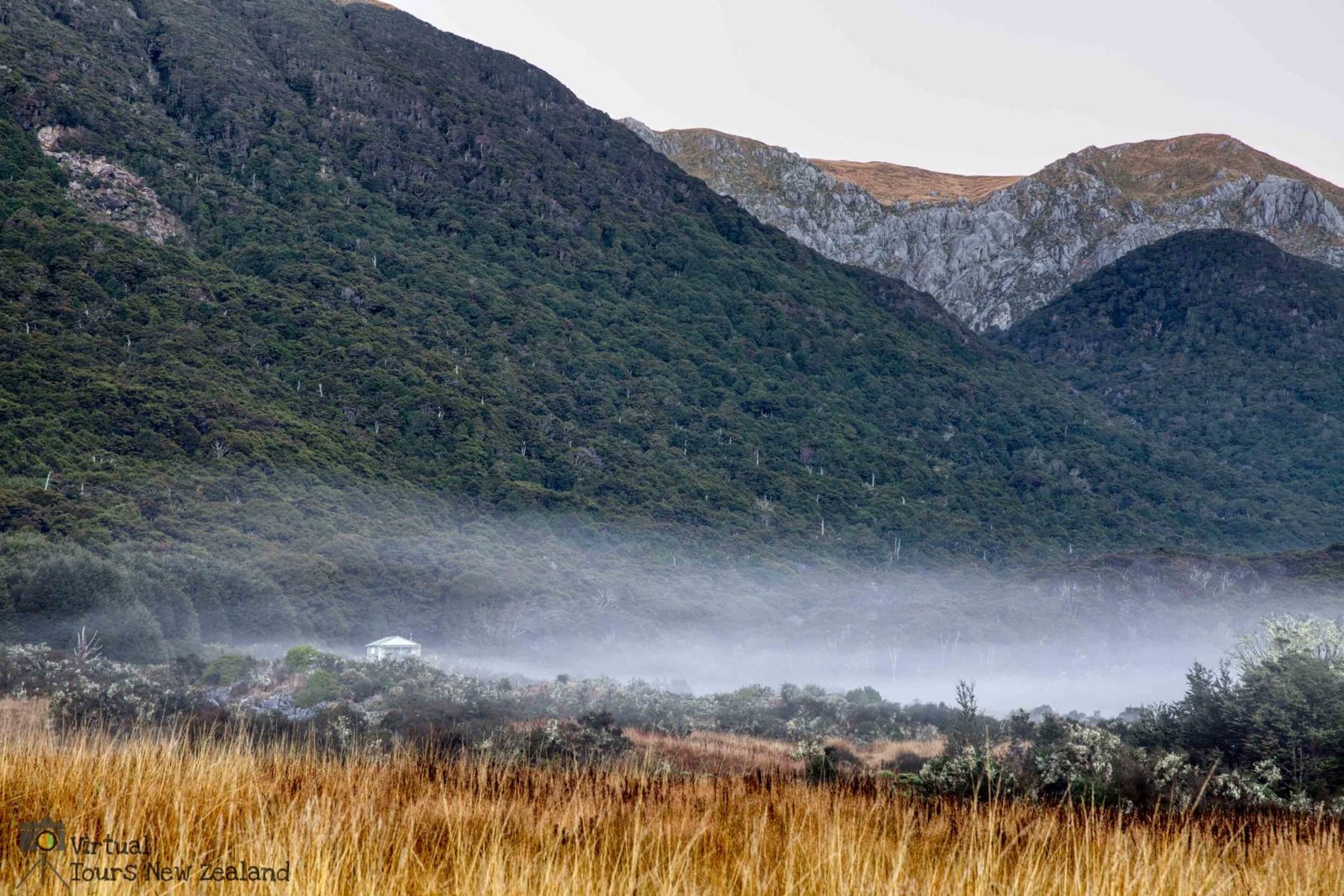 Cobb River Valley – New Zealand Landscapes