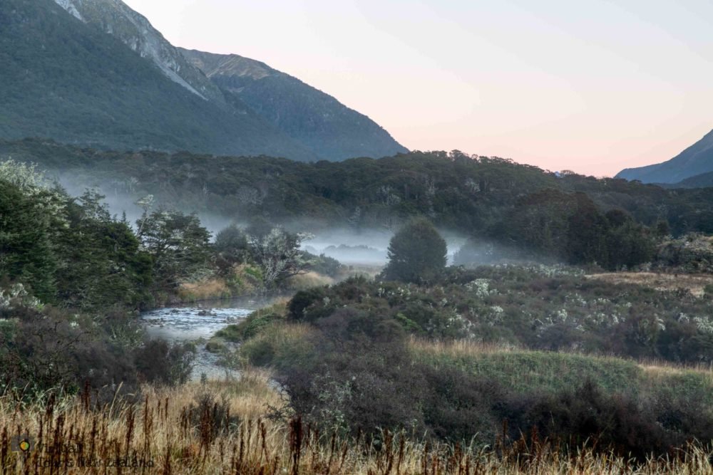 Cobb River Valley – New Zealand Landscapes