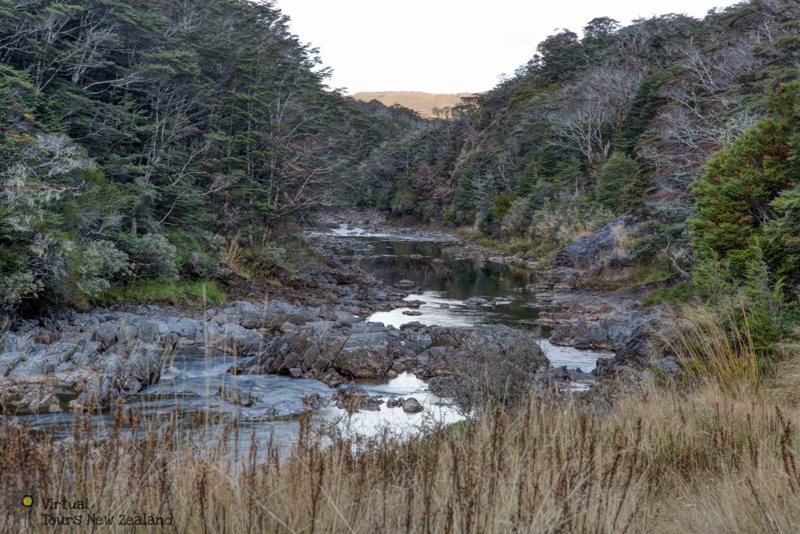 Cobb River Valley – New Zealand Landscapes