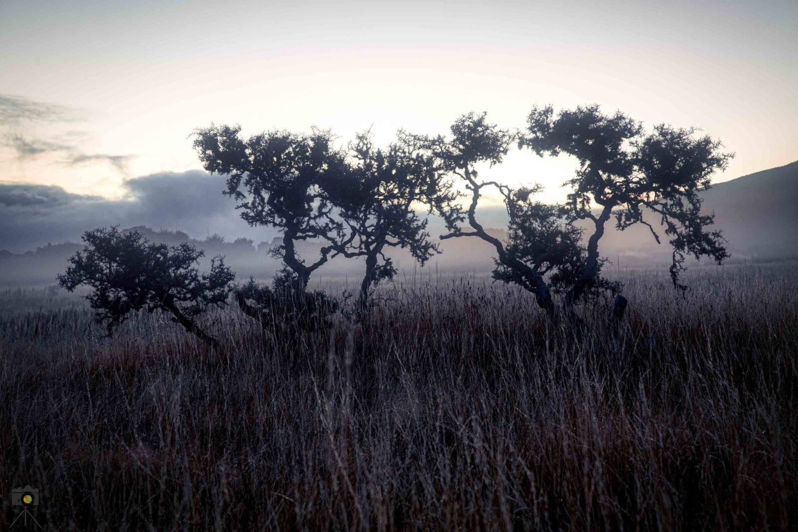 Cobb River Valley – New Zealand Landscapes